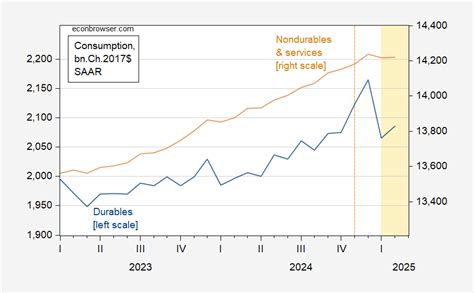 Forward Looking Implications Of Consumption Behavior In The Trump 20