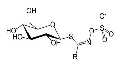 2 2 Light Fig 2 Structure Of Glucosinolate