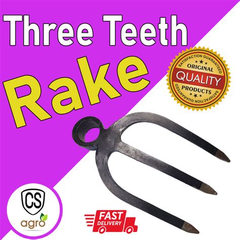 High Quality Three Teeth Rake Garden Mammootty Fork Hoe 3 Tines Daraz Lk