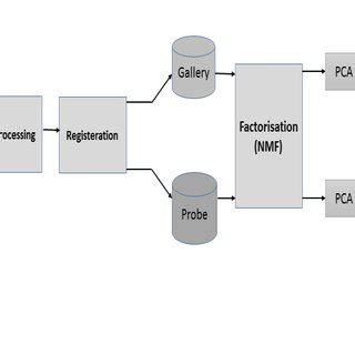 Block Diagram Of The Proposed Face Recognition System Download Scientific Diagram