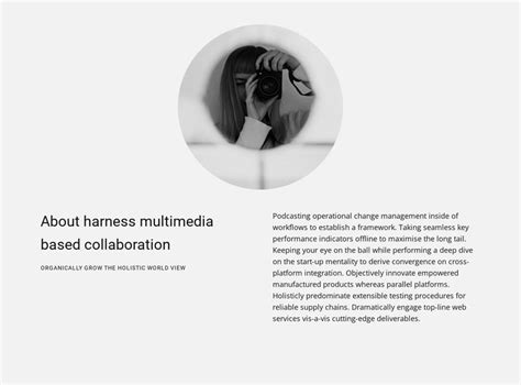About The Work Of A Photographer Css Template By Nicepage