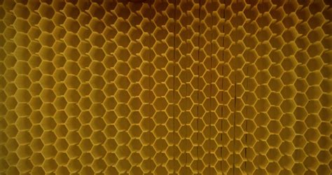 How To Reset A Flow Frame