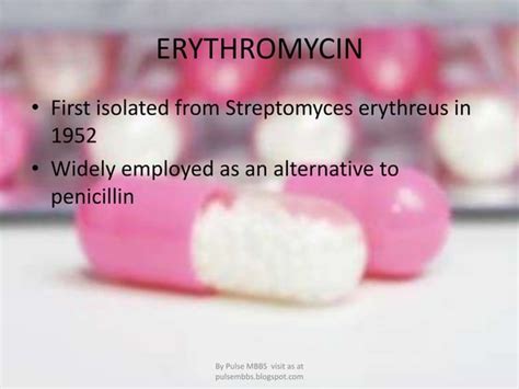 Macrolide Pptx