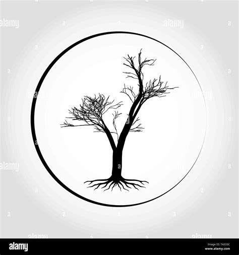 Tree Icon Forest Symbol Flat Web Sign On White Background Vector Eps Stock Vector Image