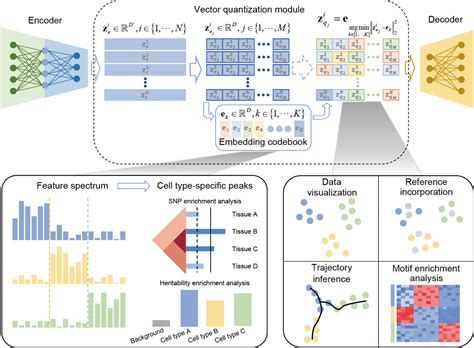 discrete latent embedding of single cell chromatin accessibility