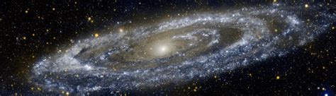 Cell Division And Reproduction Its A Natural Universe