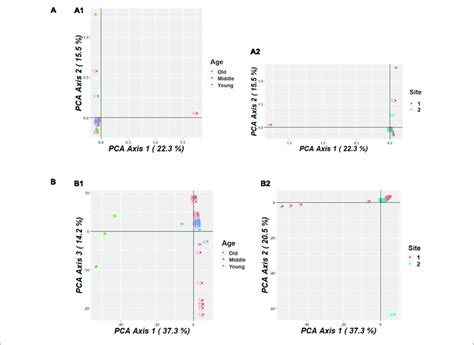 a principal coordinate analysis pcoa plot based on snp markers