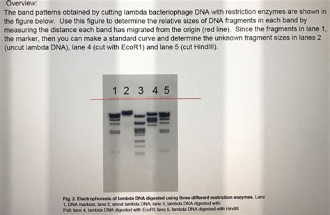 Solved Using The Semi Log Graph Paper Below Create A