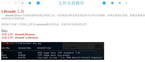 【全75集】ctf零基础入门到精通教程，赛前必看！网络安全信息安全ctf夺旗 哔哩哔哩