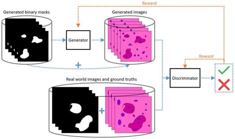 Use Of A Gan To Generate Examples For Histological Image Segmentation