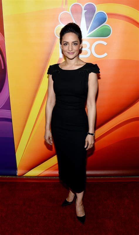 Archie Panjabi Net Worth Wiki Age Weight And Height Relationships