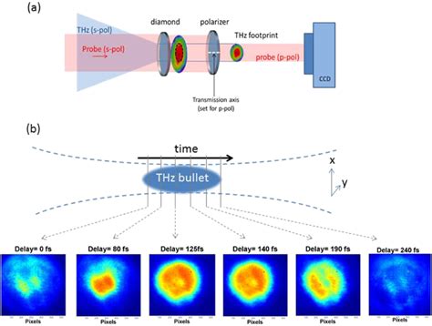 Three Dimensional Imaging Of The Thz Light Bullet In The Focus Using Download Scientific