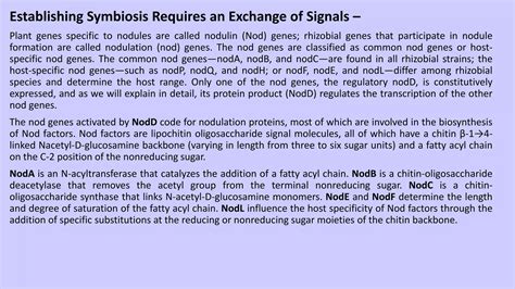Nitrogen Assimilation In Plants Pptx Nitrogen Assimilation In Plants Pptx