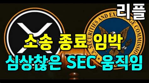 리플 고래들은 이미 소송 종료로 간주 고래들의 폭풍 매집 움직임 포착 Youtube