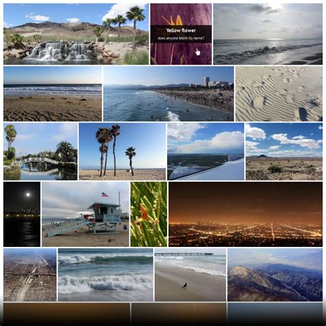 justified image grid premium wordpress gallery by firsh codecanyon