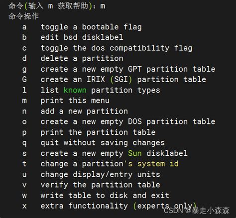 Linux：fdisk磁盘分区 Csdn博客