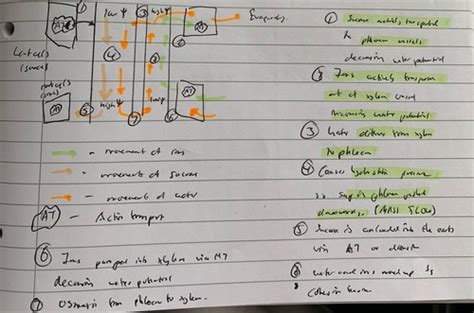AQA A Level Biology Paper Flashcards Quizlet