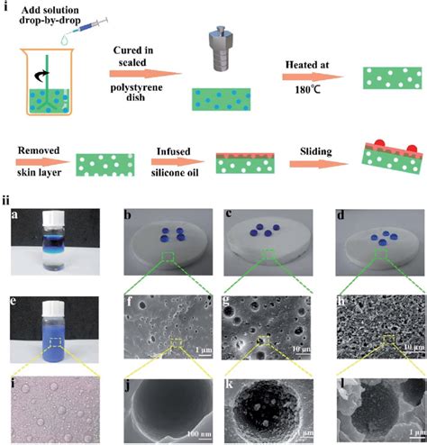I Preparation Of Flim Ii Microstructure And Optical Photo Of The Download Scientific