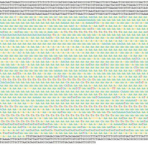 Consensus Sequence Of The Fragment Rich In Ssrs Variable Numbers Of