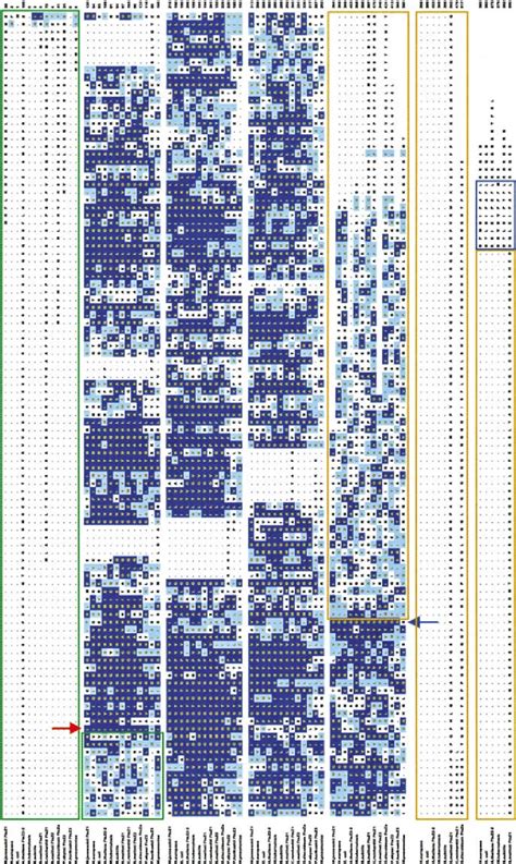 Multiple Sequence Alignment Of A Selection Of Ftsz Homologues Thirteen