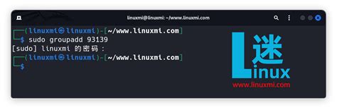 Linux 入门进阶教程：如何在 Linux 上管理用户组操作系统kungfu主组
