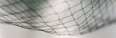 Best Garden Trellis Netting 2019 Nylon Or Plastic Bulk Or Single Unit