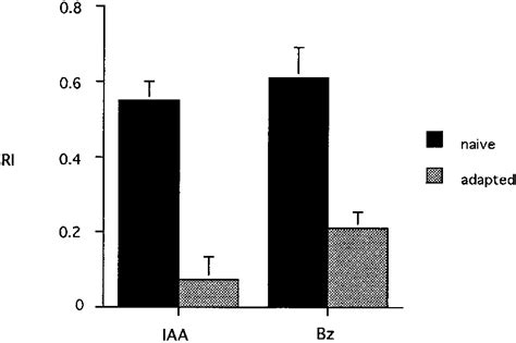 Olfactory Adaptation Flies Were Preexposed To The Odor Of A Compound