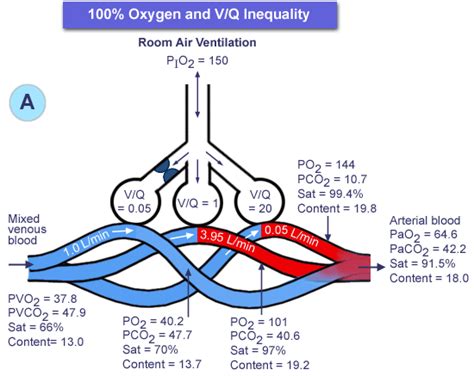 Medical Pharmcology Physics And Chemistry In Anesthesiology