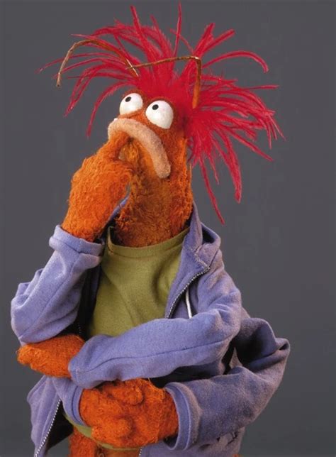 Image Pepe6 Muppet Wiki Fandom Powered By Wikia
