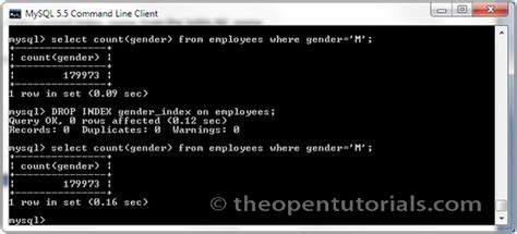 DROP INDEX Syntax IByteCode Technologies