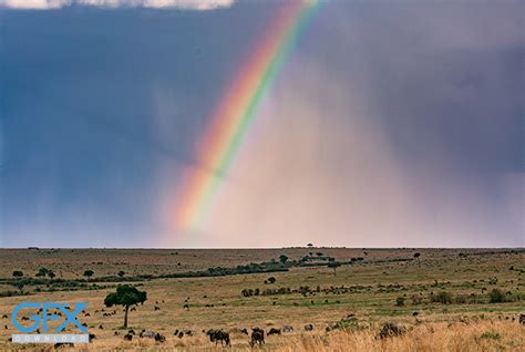 عکس رنگین کمان⭐دانلود 35 عکس رنگین کمان با کیفیت بالا