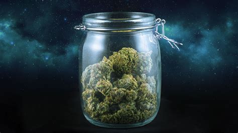 Highest Thc Strains What Are The Strongest Weed Strains Of 2020