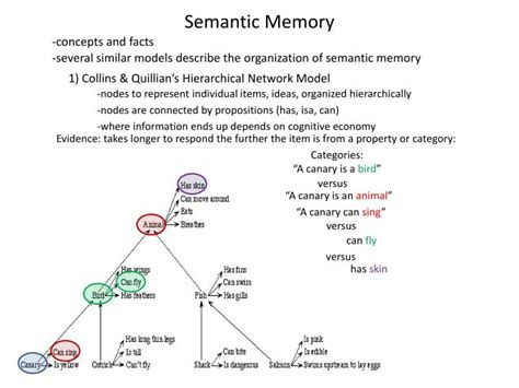 semantic memory model