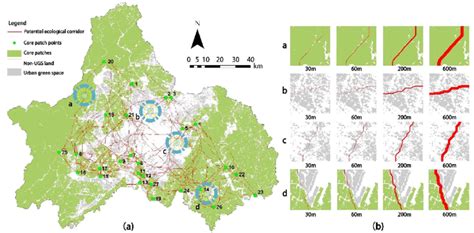 Potential Ecological Corridor Distribution A And Relation Between Download Scientific Diagram