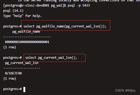 Postgresql文件结构postgresql 数据库 文件 格式 Csdn博客