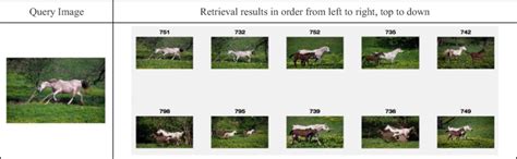 result of image retrieval with low level feature vector and mid level