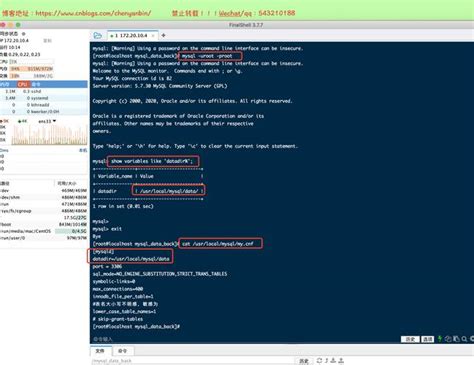 如何在Linux中验证MySQL数据库备份的完整性 世外云文章资讯