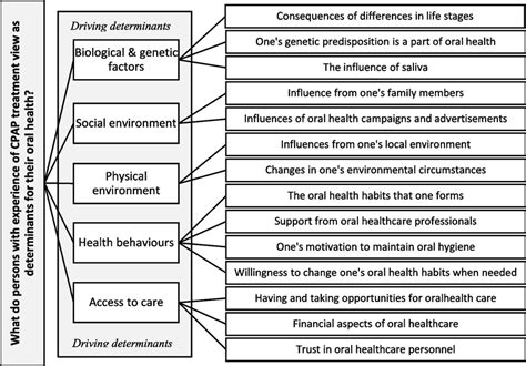 Description Of Formative Categorisation Matrix Marked In Grey And Download Scientific Diagram