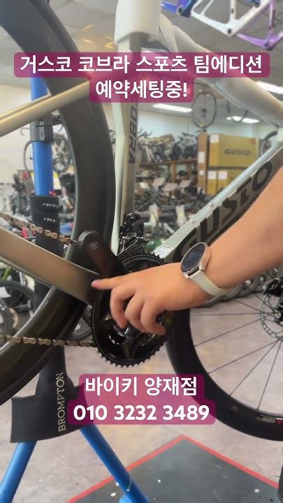 거스토 코브라 스포츠 팀 에디션 예약 세팅중 바이키 바이키양재점 로드자전거 로드바이크 가성비 거스토 거스토코브라