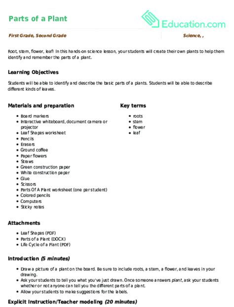 609 Plant Anatomy Lesson Plan Download One Less Thing
