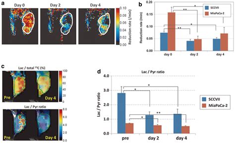 Hyperpolarized 13c Magnetic Resonance Imaging As A Tool For Imaging Tissue Redox State