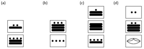 Solved Use The Following Information On The Vigesimal