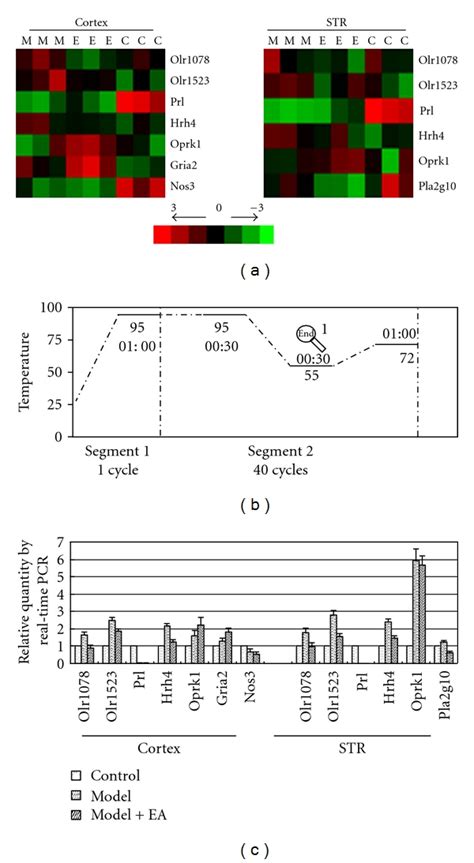 Selected Transcripts Clustered And Validated With Real Time Pcr After