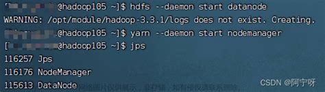 【大数据之hadoop】二十八、生产调优 Hdfs集群扩容及缩容 Toy模板网