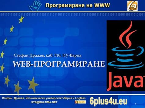 Programming With Java Intro Ppt