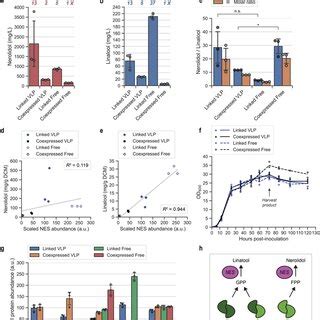 Spatial Organization Of A GPPoverproducing FPPS Variant F96WN127W Download Scientific