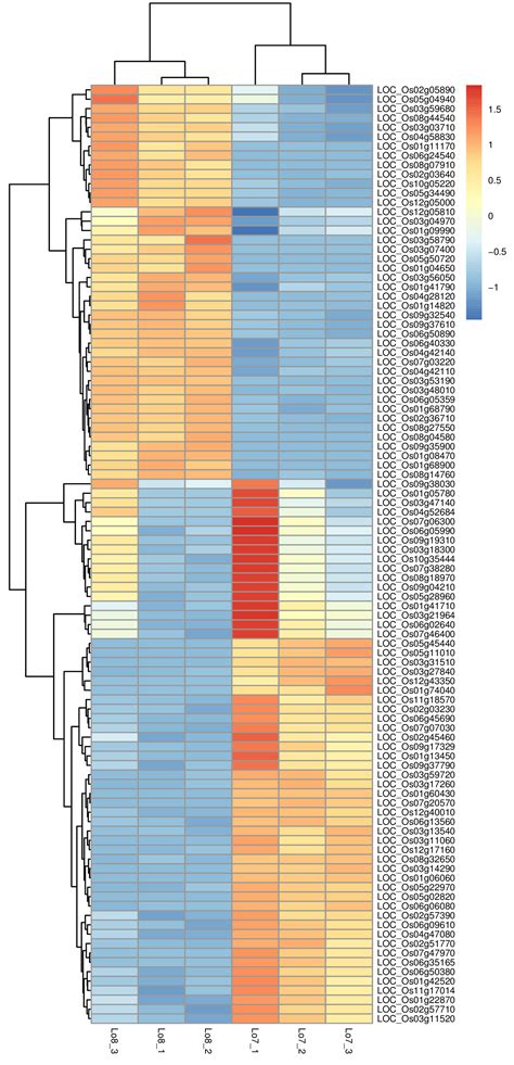 Heat Map Rna Sequencing