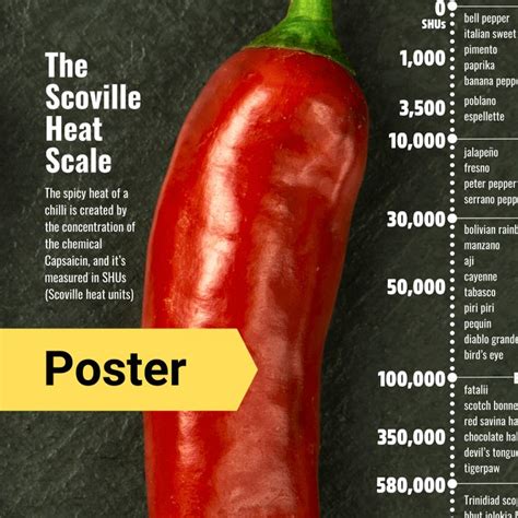 Chillibom Scoville Scale Pepper X Edition Poster