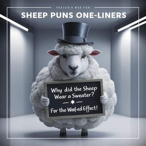 150 Funny Sheep Puns And Jokes