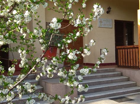 Nekros Umrli Osmrtnice Citulje Smrtovnice Umrlice Preminuli